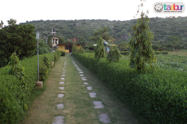 Taabur | Business | Dr Bhagat Farm House | Gurugram | Farm Life Visit
